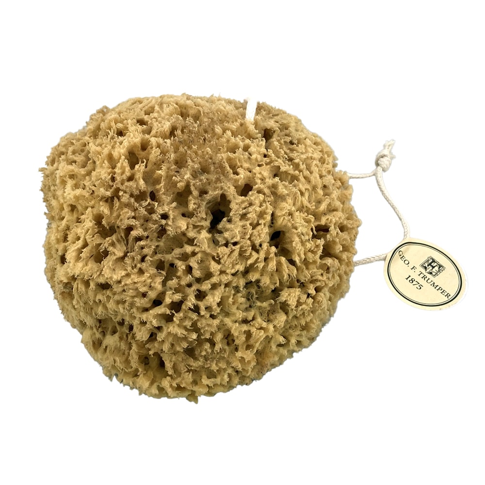 Natural Unbleached Sea Sponge | Luxury Mens Shaving Products | Mens ...